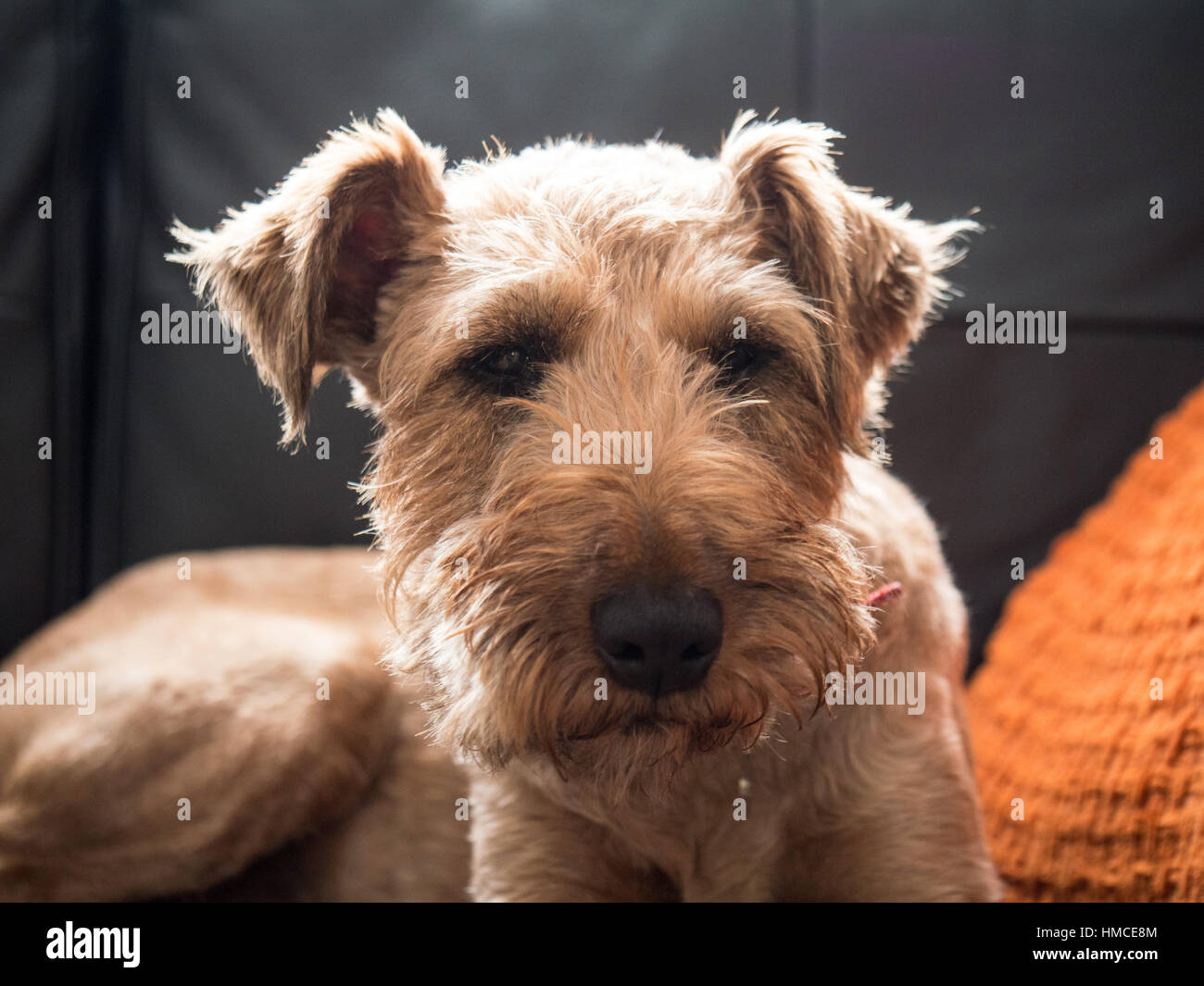 Chilled out hi-res stock photography and images - Alamy