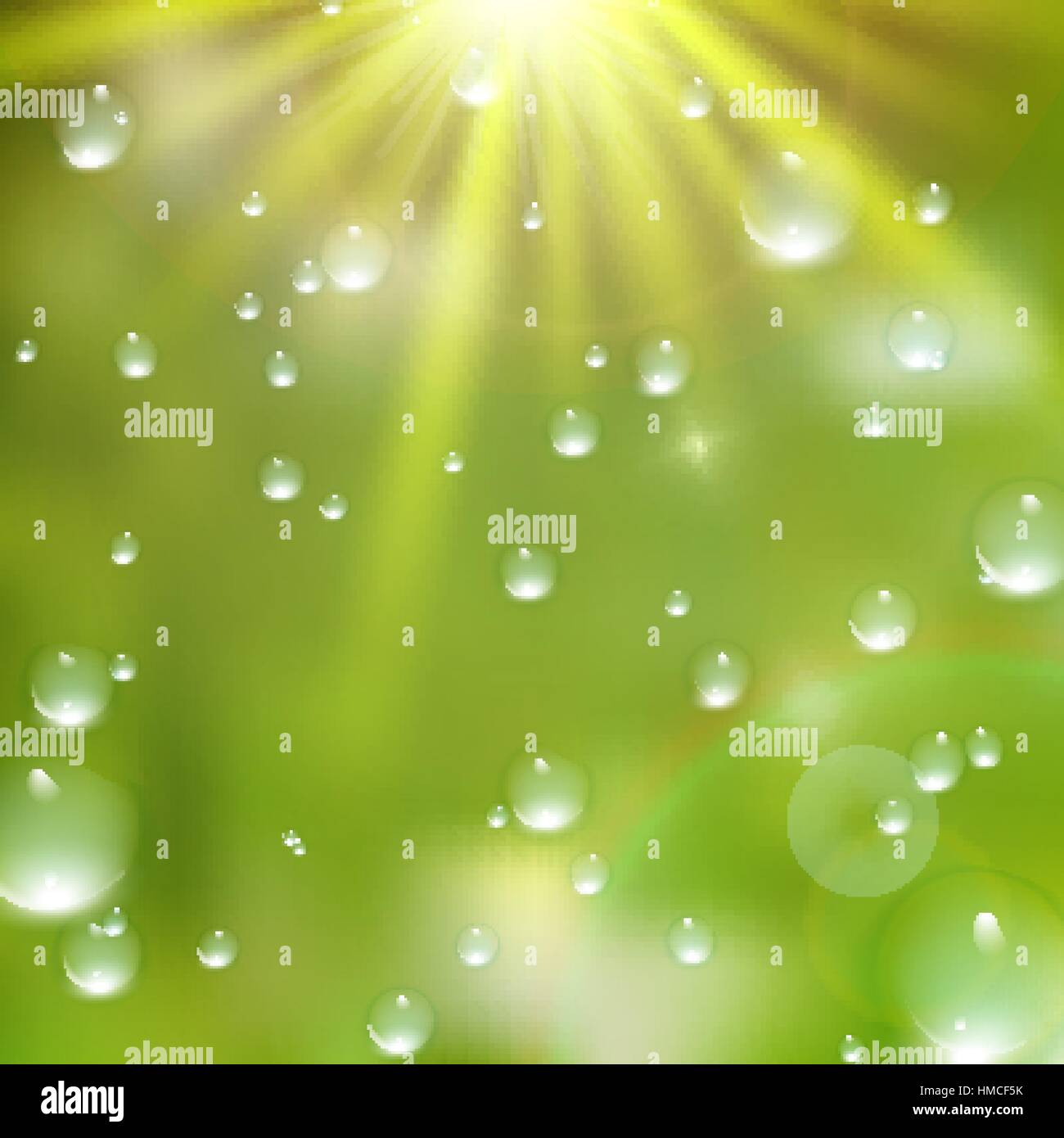 Water drops on green background. plus EPS10 vector file Stock Vector ...