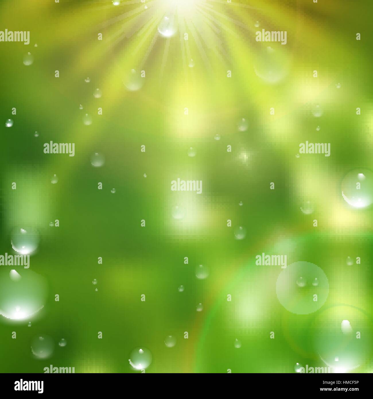Water drops on green background. plus EPS10 vector file Stock Vector ...