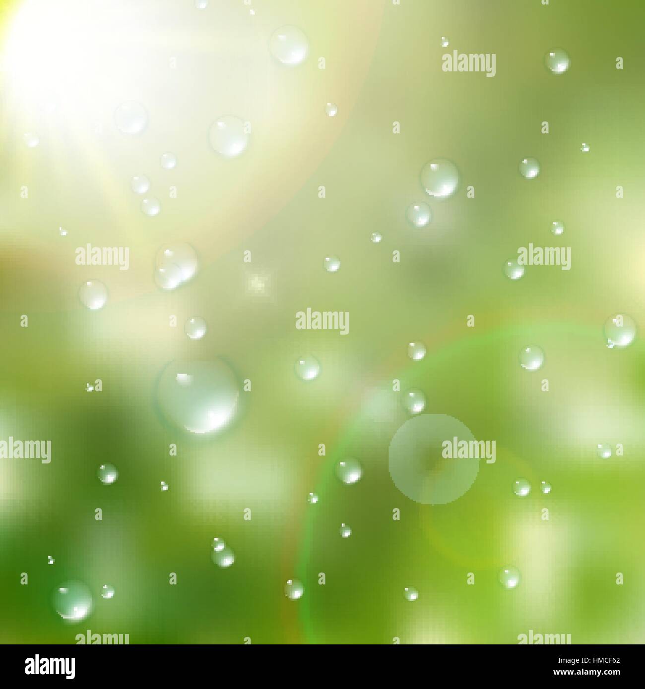 Water drops on green background. plus EPS10 vector file Stock Vector ...