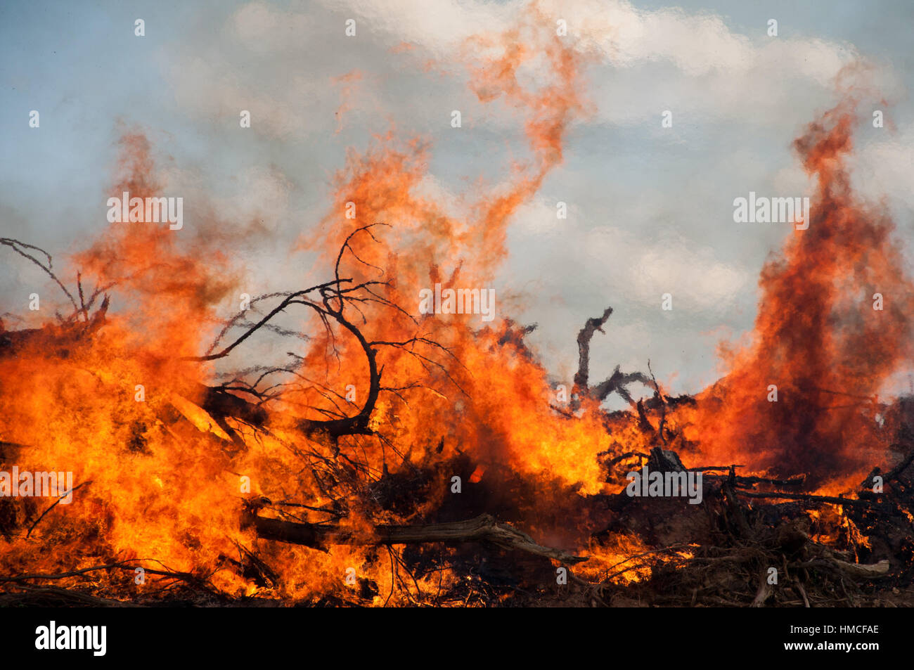 Brush fire burning Stock Photo - Alamy