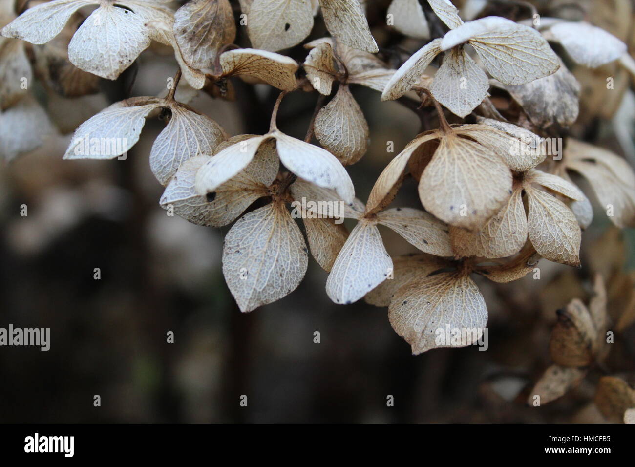 New photos hi-res stock photography and images - Alamy