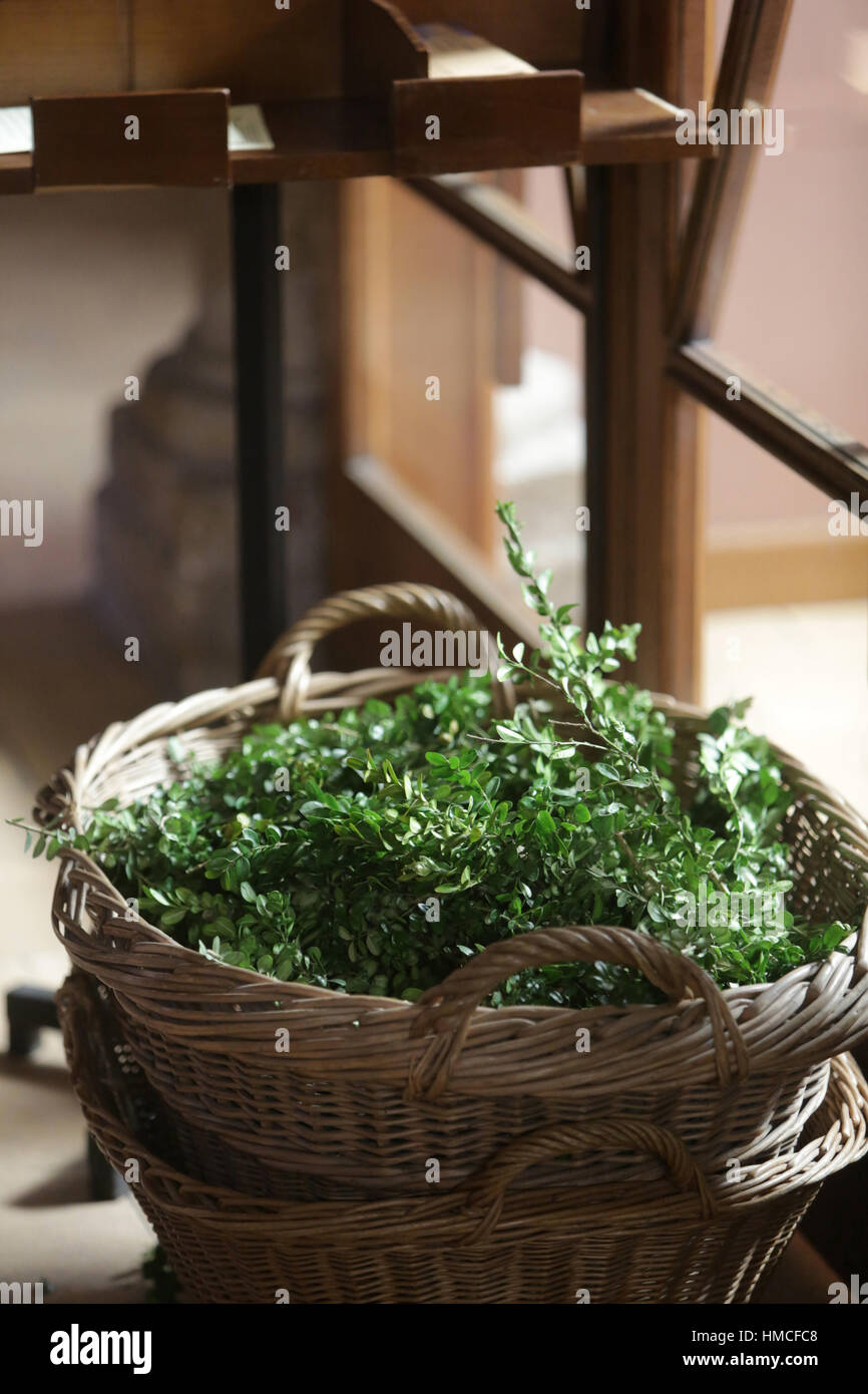 Rameaux hi-res stock photography and images - Alamy