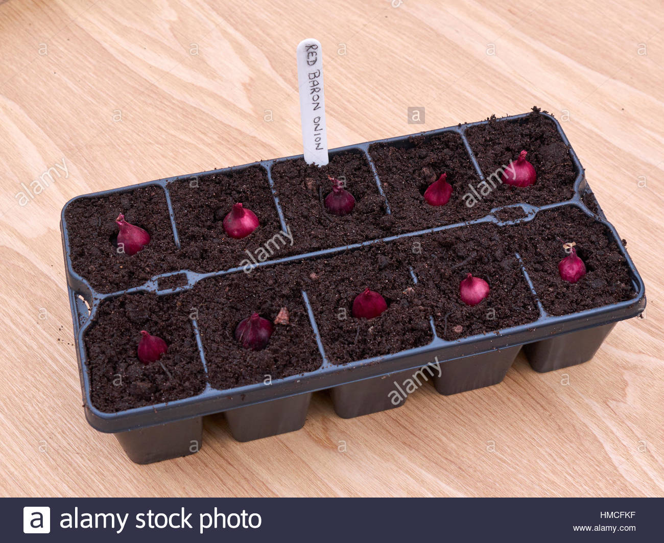 Modular Trays High Resolution Stock Photography and Images - Alamy
