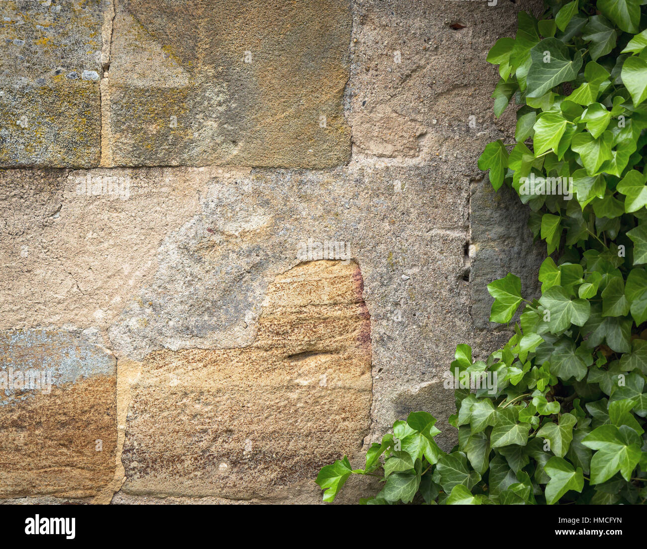 Ivy stone hi-res stock photography and images - Alamy