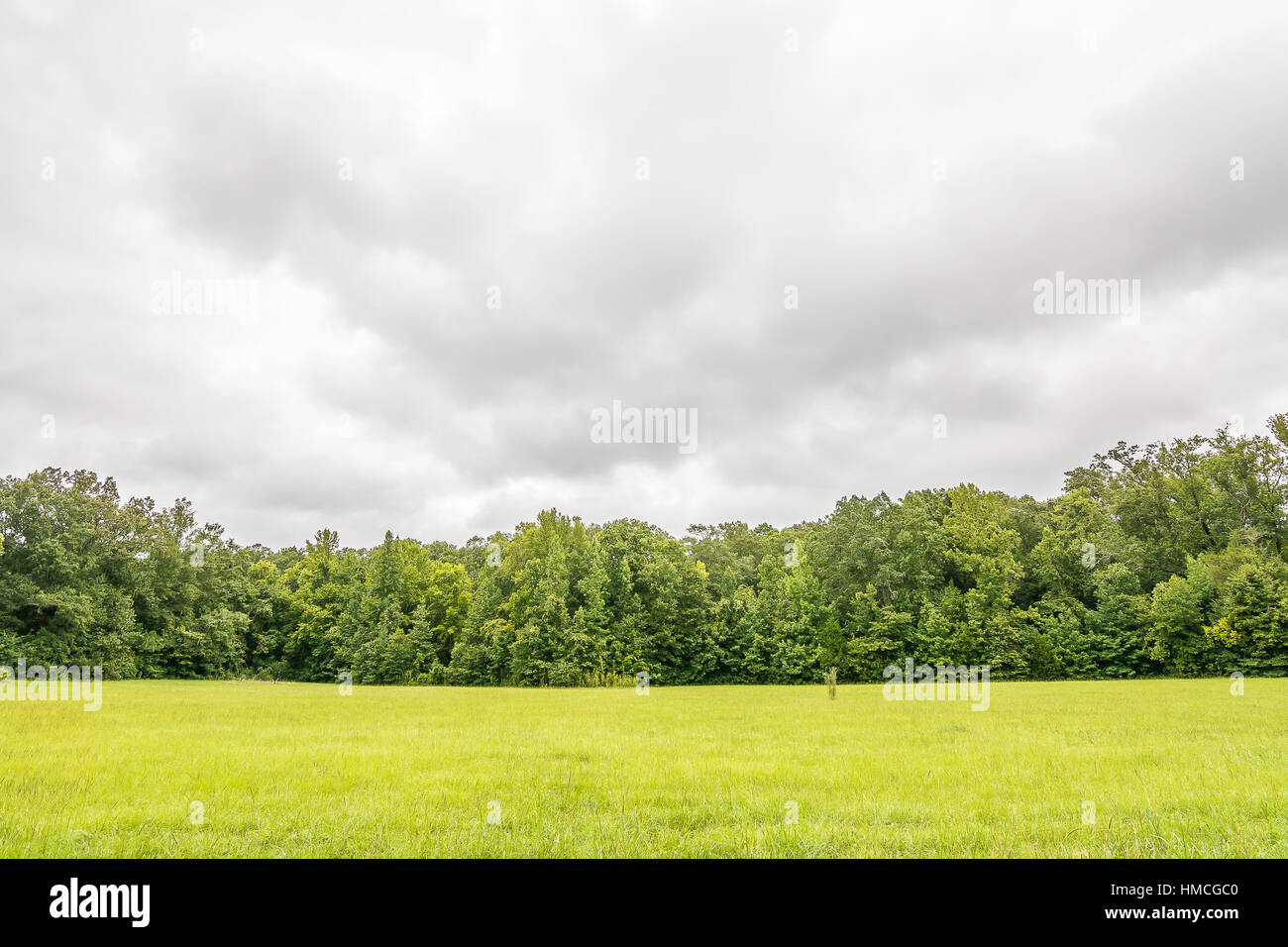 A green meadow landscape under an overcast sky Stock Photo - Alamy