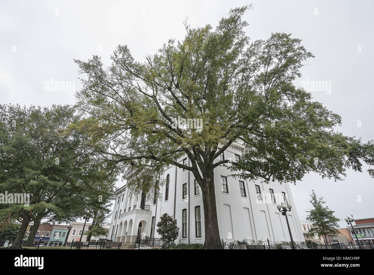 An old southern courthouse with oak trees in the foreground Stock Photo ...