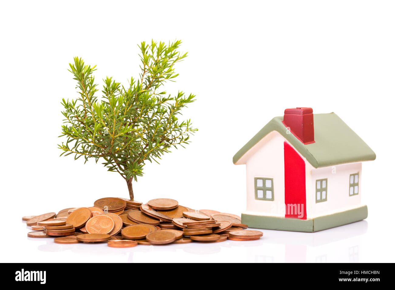 Coins, house and plant isolated on white background Stock Photo - Alamy