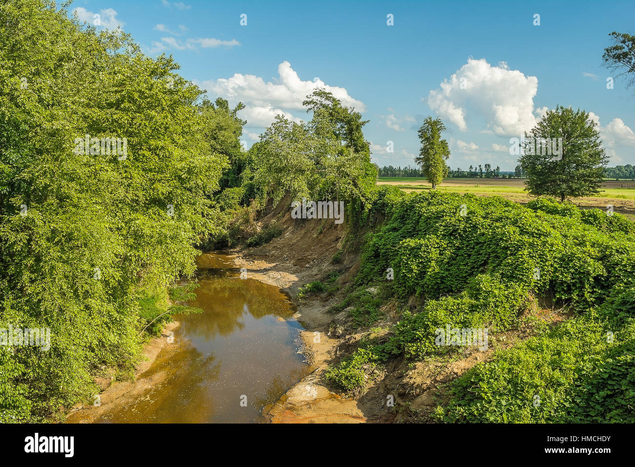 Kudzu landscape hi-res stock photography and images - Alamy