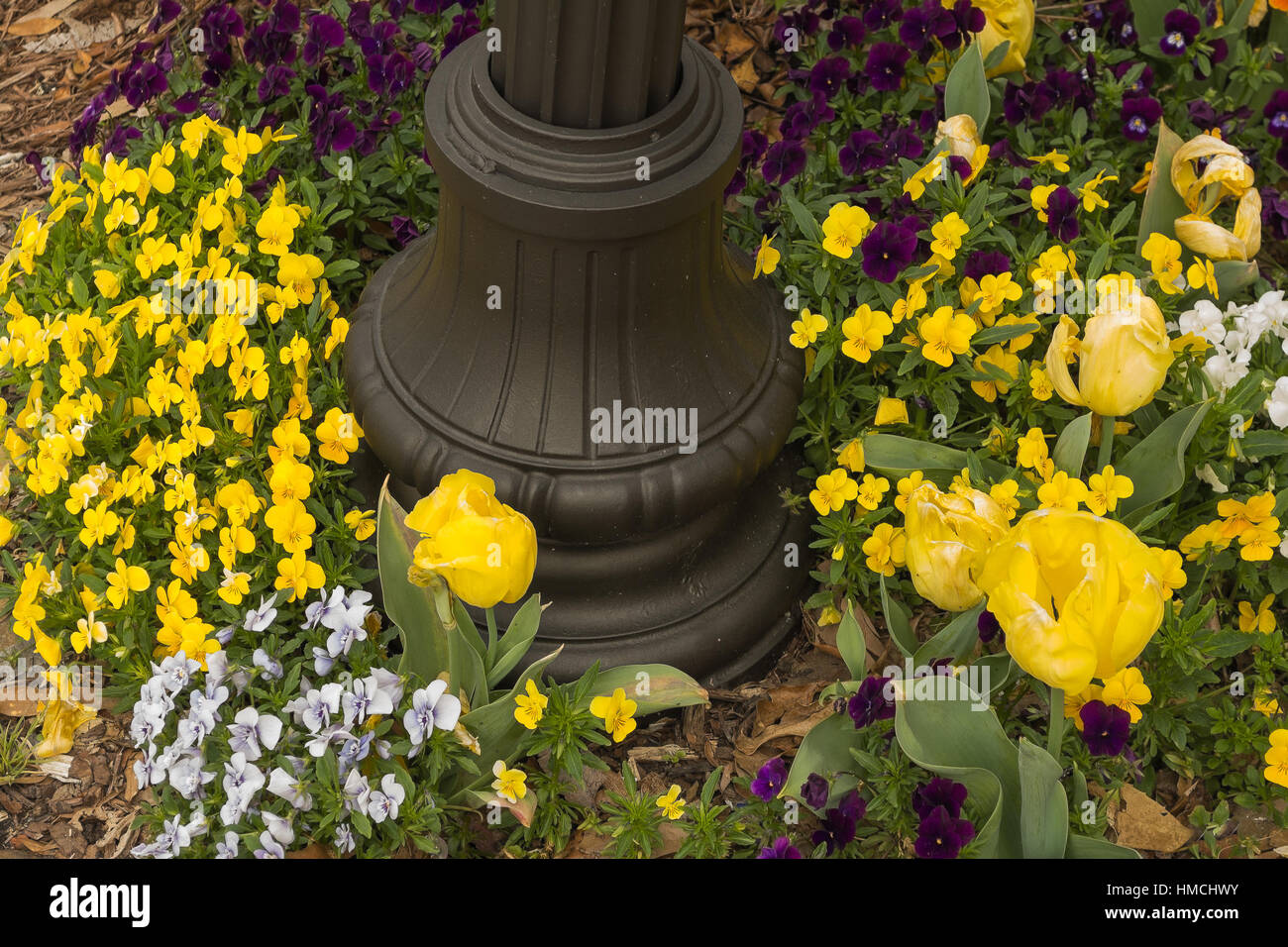Base of flowers hi-res stock photography and images - Alamy