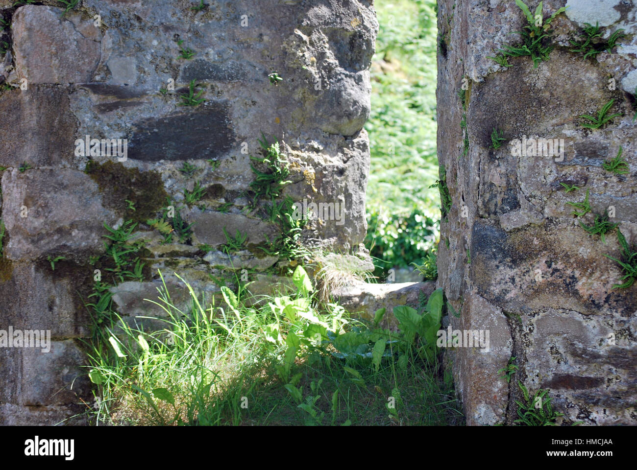 Church ruins in Scotland Stock Photo - Alamy