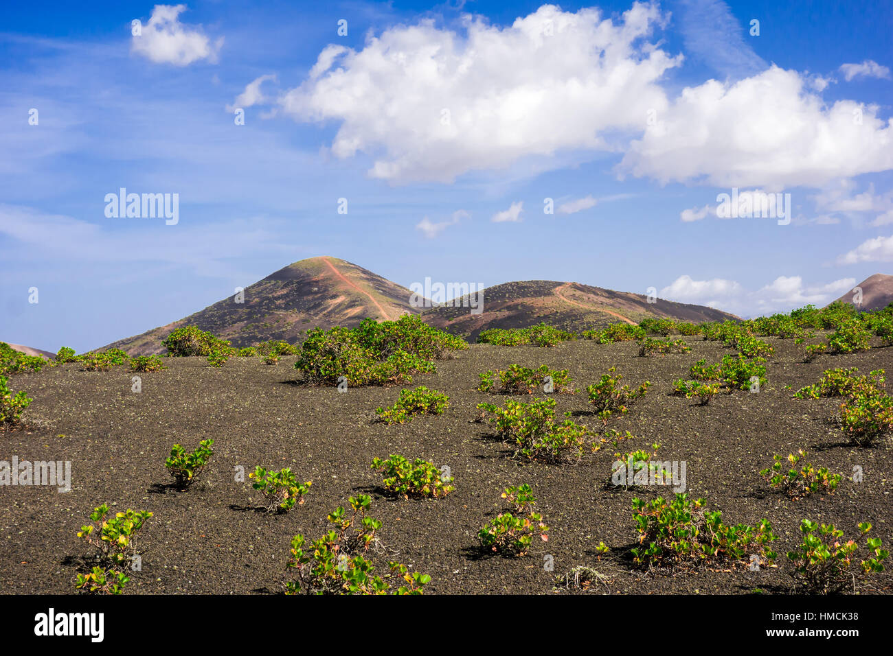 Beautiful vegetation landscape growing around hi-res stock photography ...