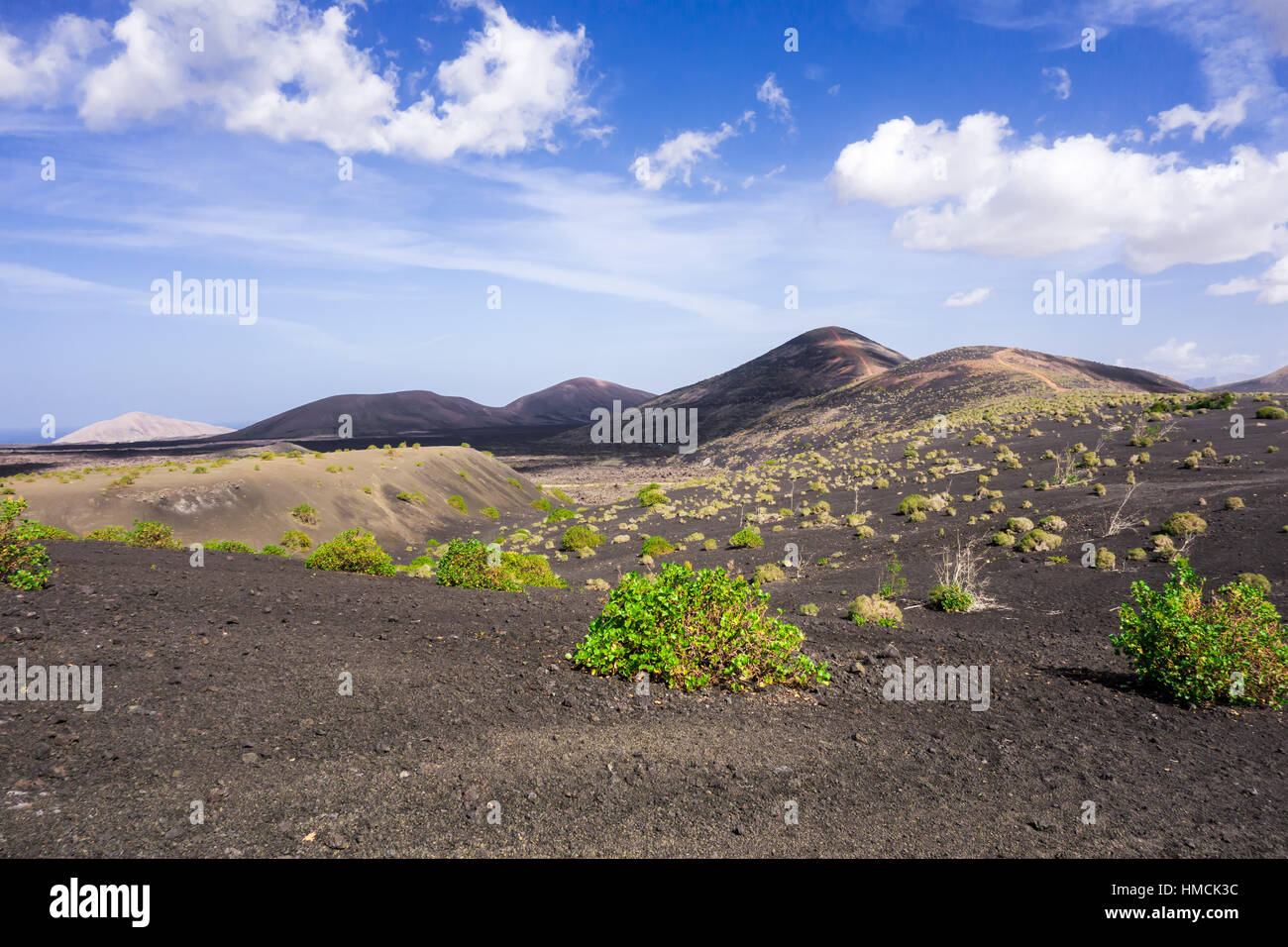 Beautiful vegetation landscape growing around hi-res stock photography ...