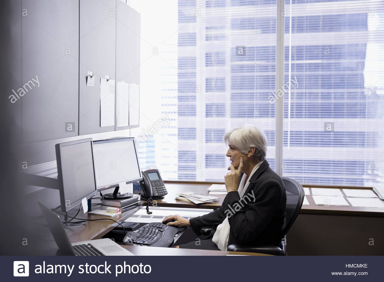 Female lawyer working at computer in office Stock Photo - Alamy