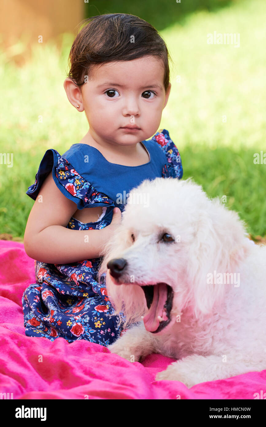 girl with sleepy poodle dog in green park Stock Photo - Alamy