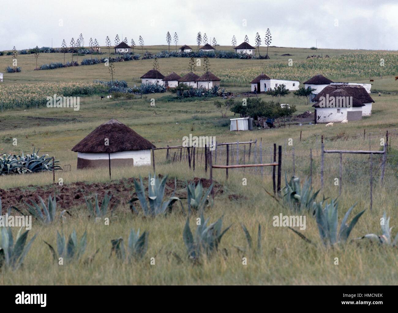 Transkei village hi-res stock photography and images - Alamy