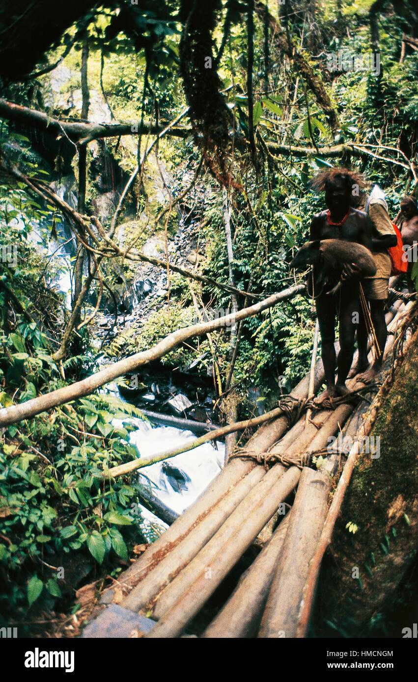 Men from dani tribe on wooden bridge hi-res stock photography and ...