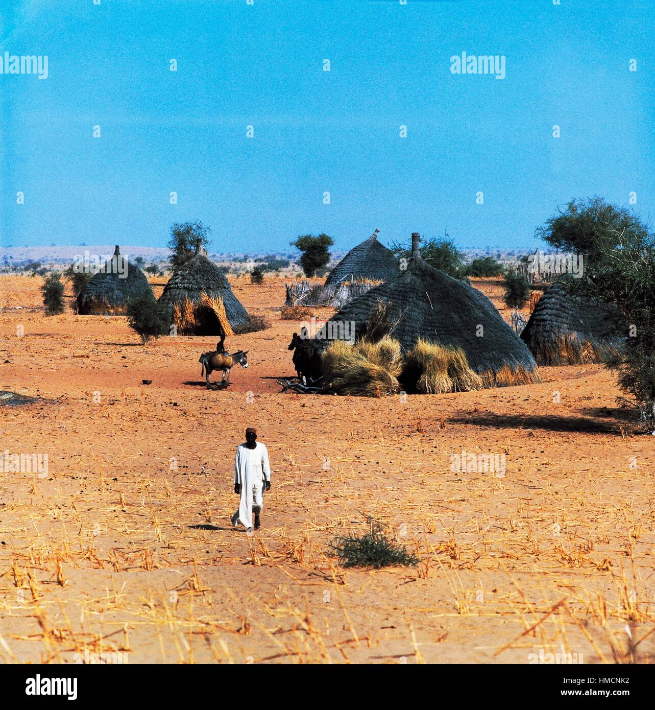 Huts in the Tebu village of Kanem, Sahel, Chad Stock Photo - Alamy