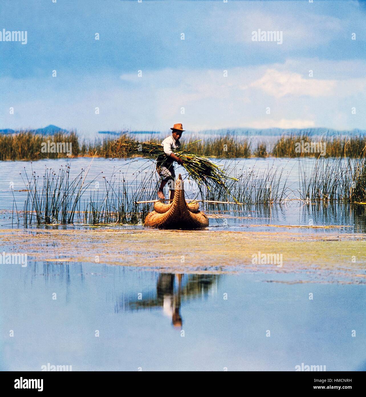 Balsa wood peru hi-res stock photography and images - Alamy