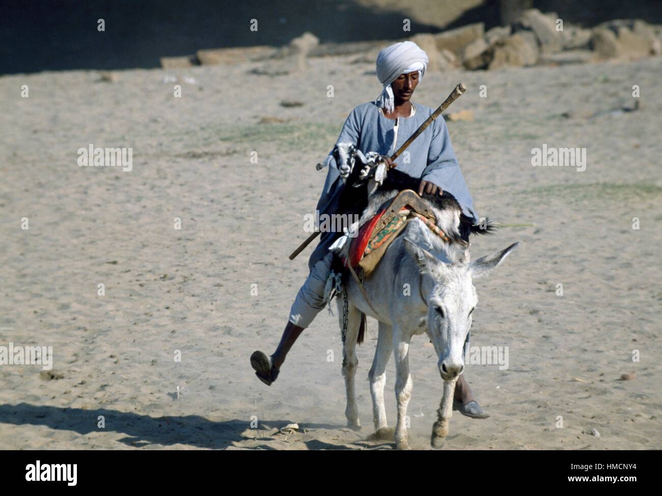 Farmer wearing a turban riding a mule, Egypt Stock Photo - Alamy