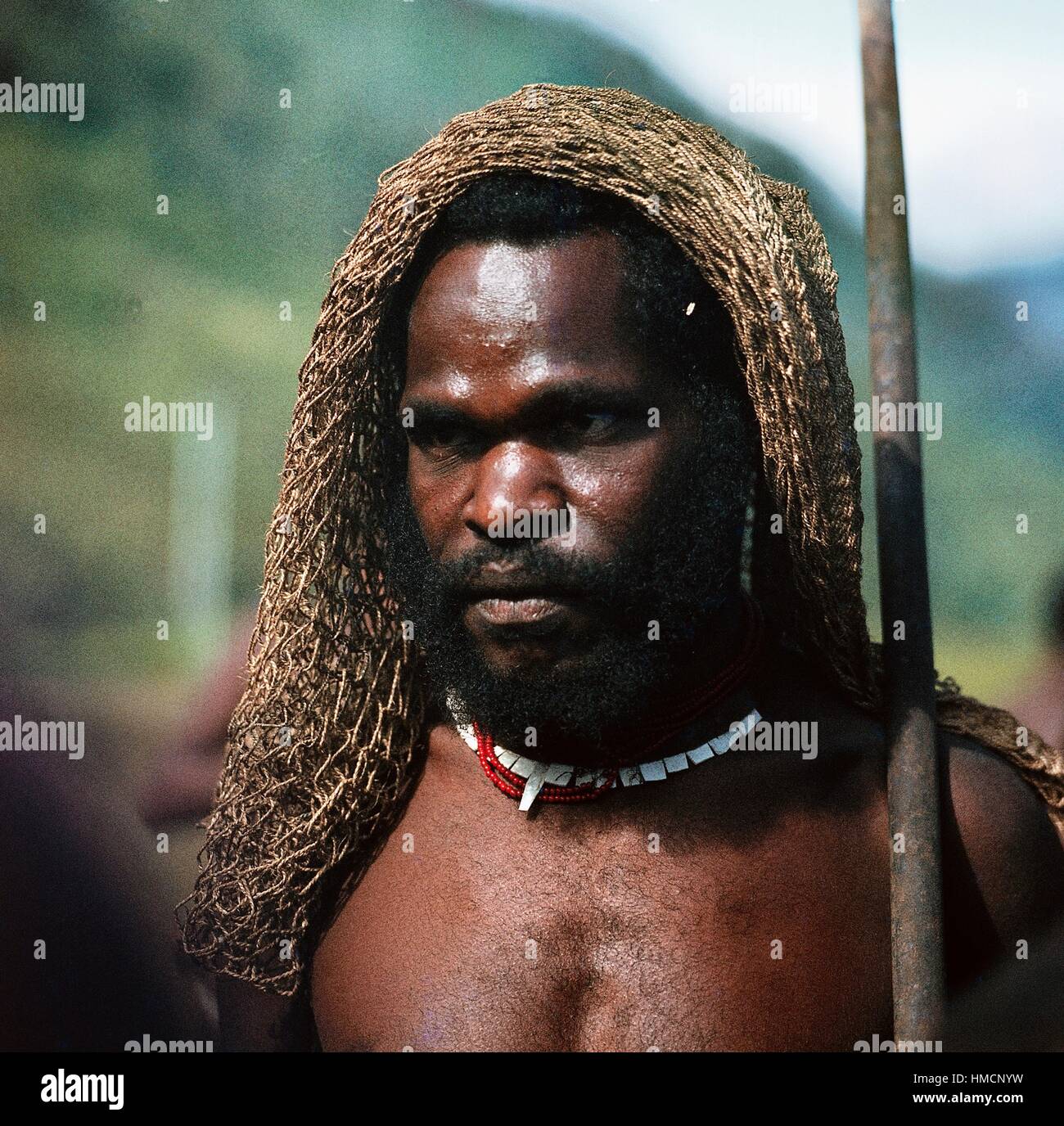 A Dani man, Papua New Guinea Stock Photo - Alamy