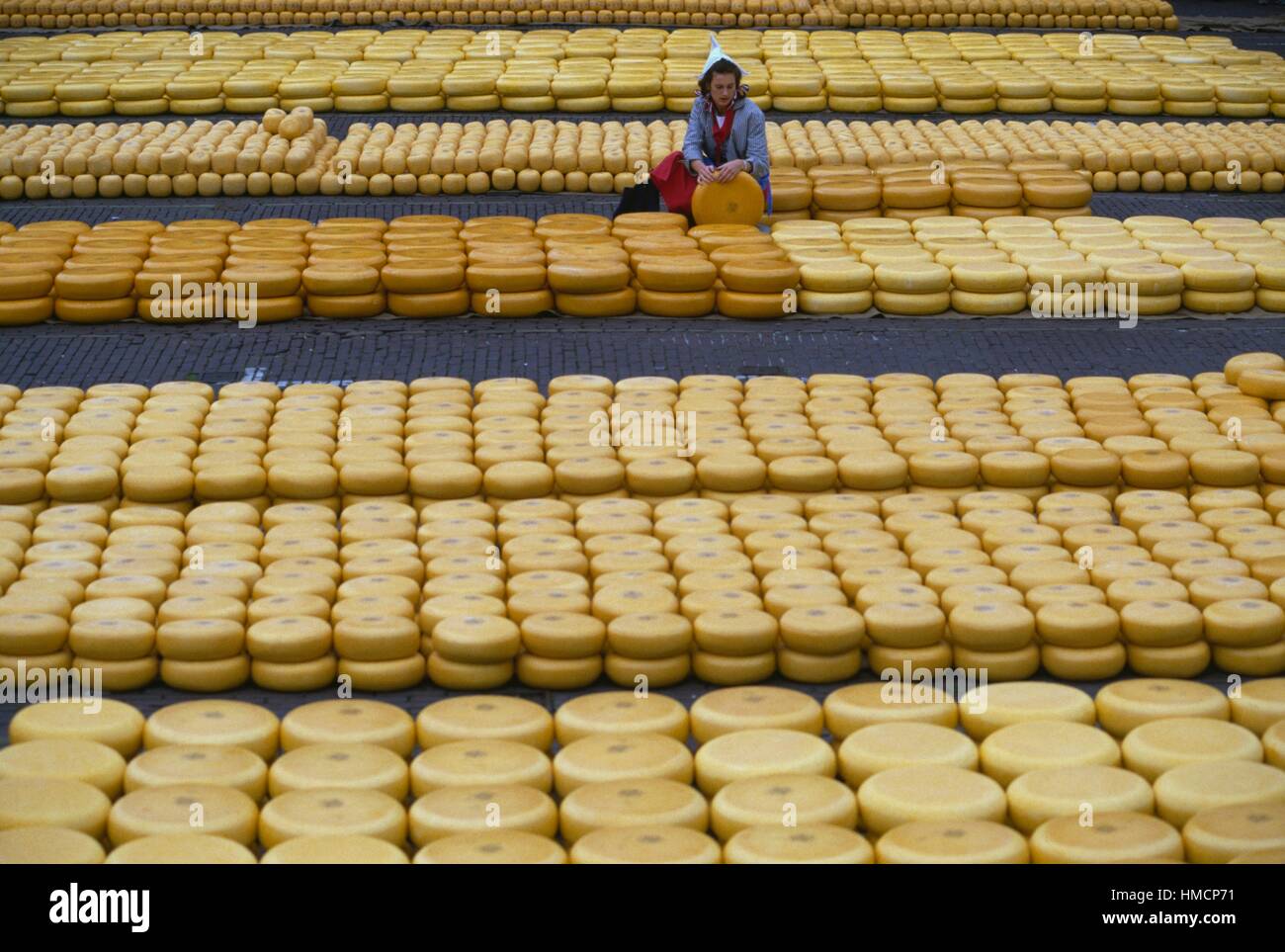 Cheese market with cheese wheels on display, Alkmaar, Netherlands Stock ...