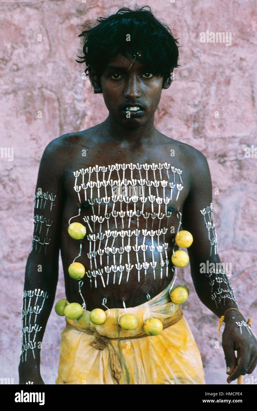 Hindu man with long needles piercing his body during the Thaipoosam ...