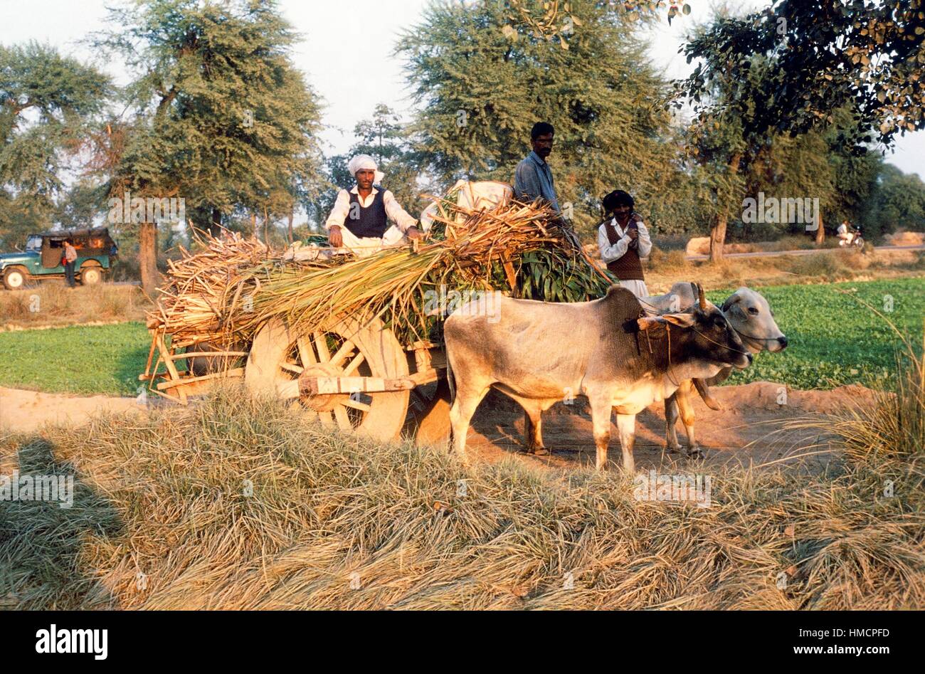 Harappa hi-res stock photography and images - Alamy