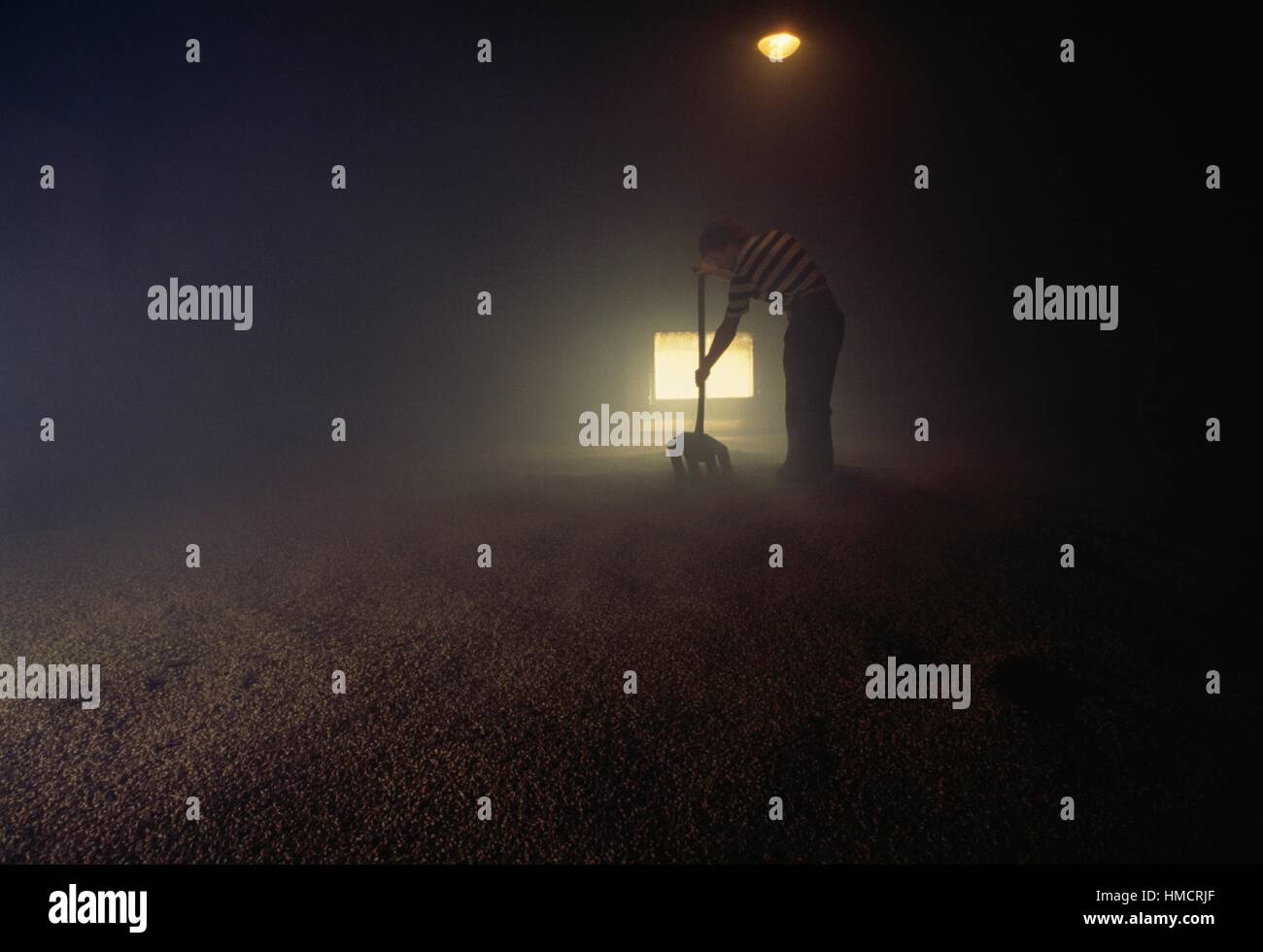 Drying malt hi-res stock photography and images - Alamy