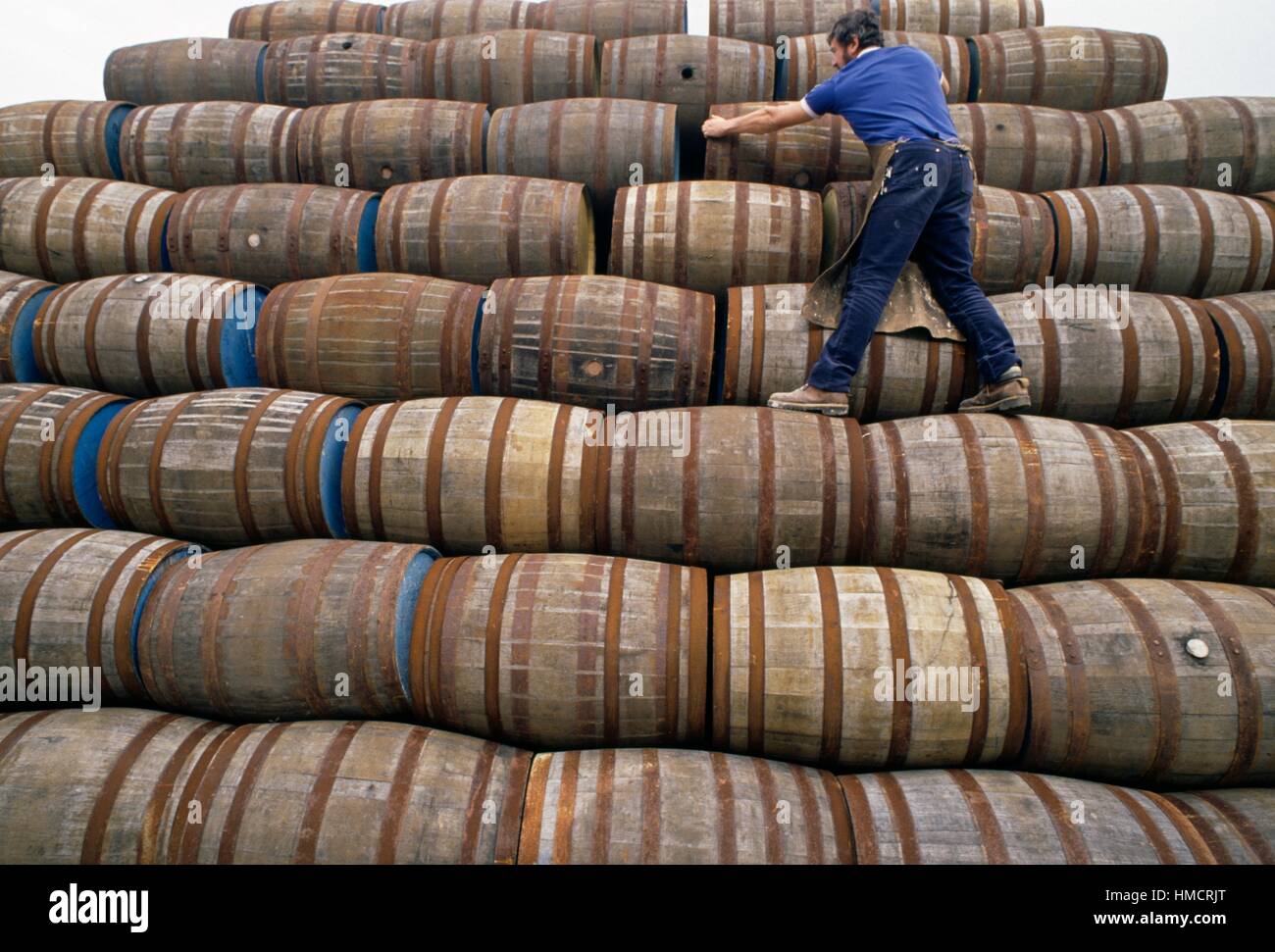 Casks for maturing whiskey in a whiskey distillery, Hebrides, United ...