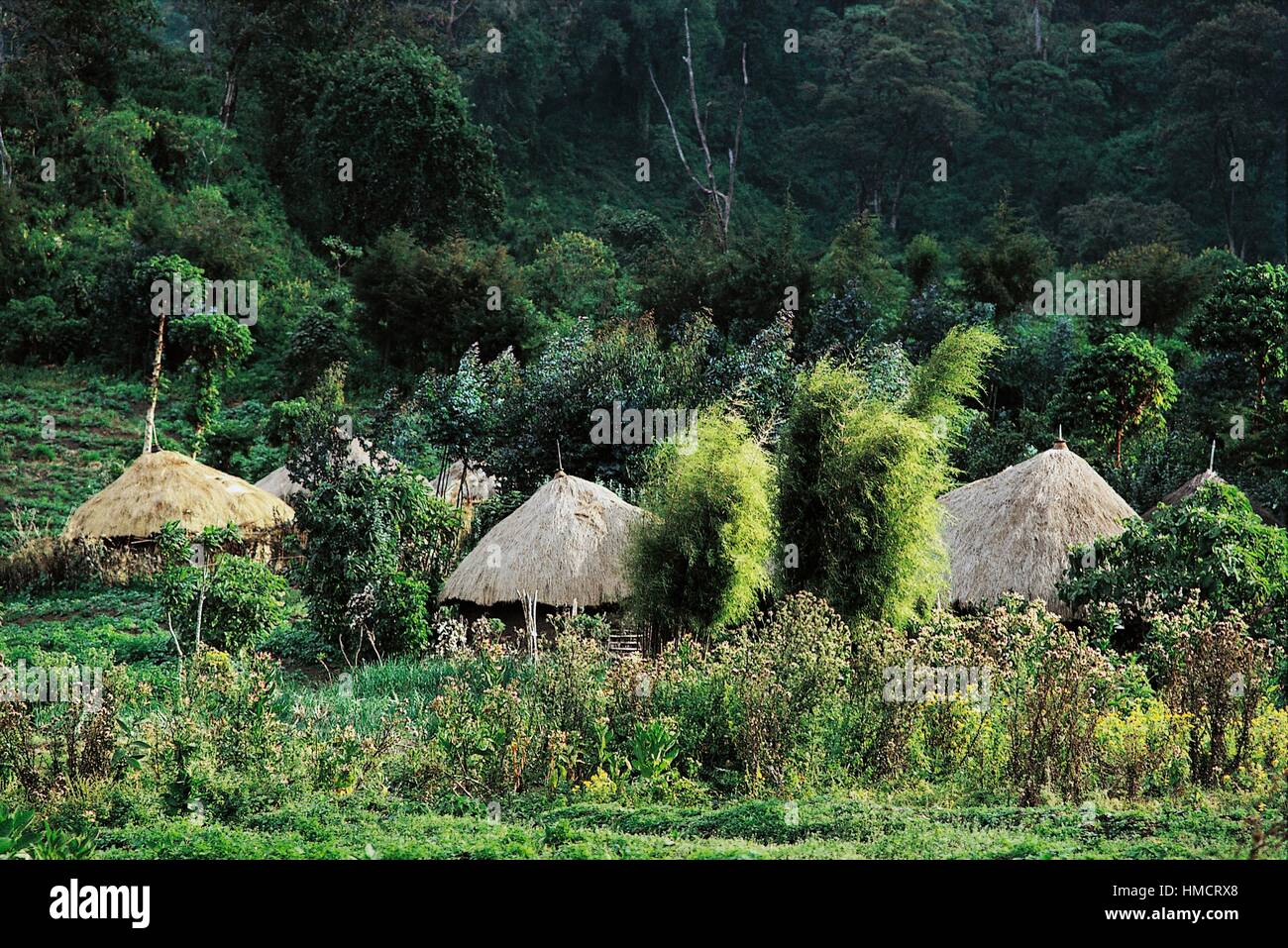 Village with typical round huts, Rwanda Stock Photo - Alamy