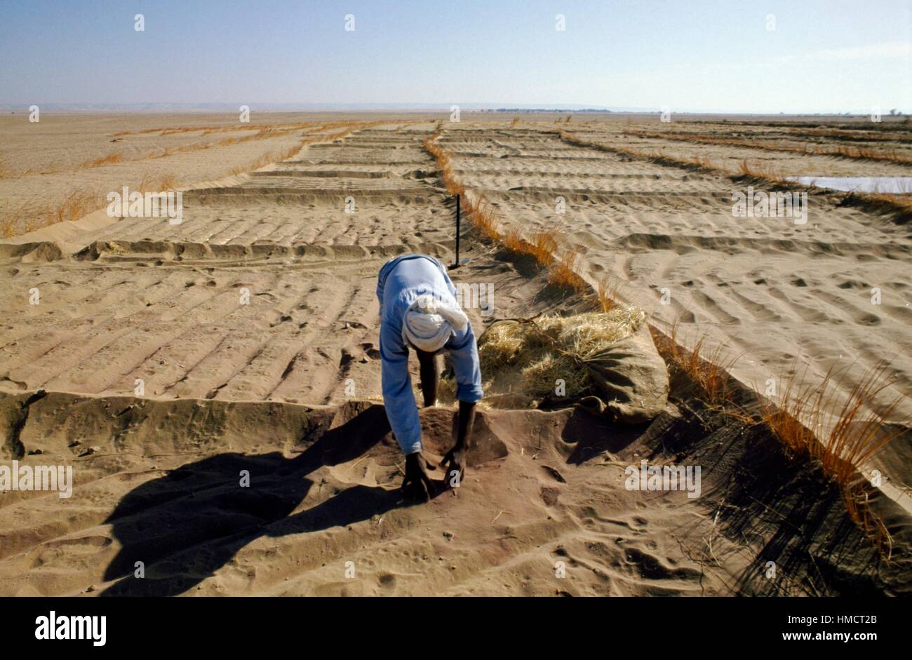 Egypt Farming High Resolution Stock Photography and Images - Alamy