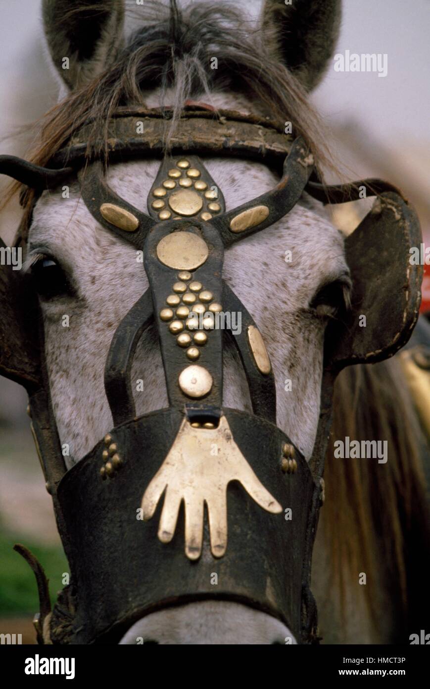 A horse harness with hand-shaped decoration to ward off bad luck, Cairo ...