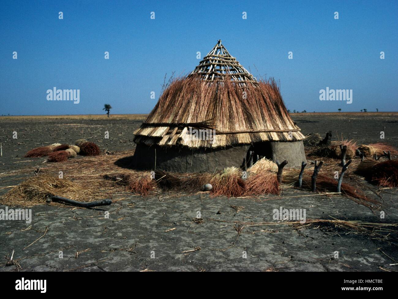 Nuer hut being built hi-res stock photography and images - Alamy