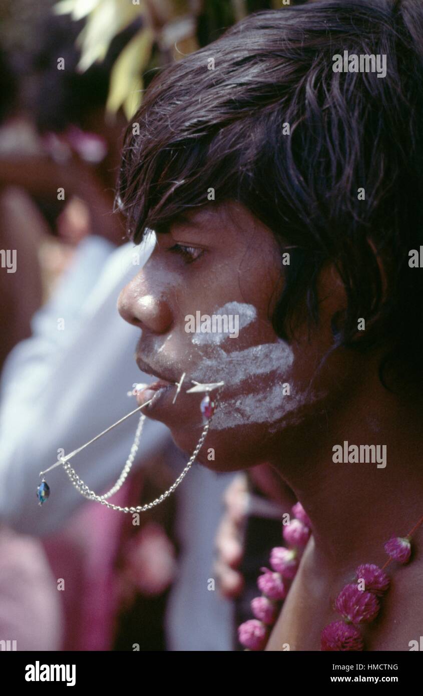 Young Tamil Hindu man with needles piercing his face during the ...