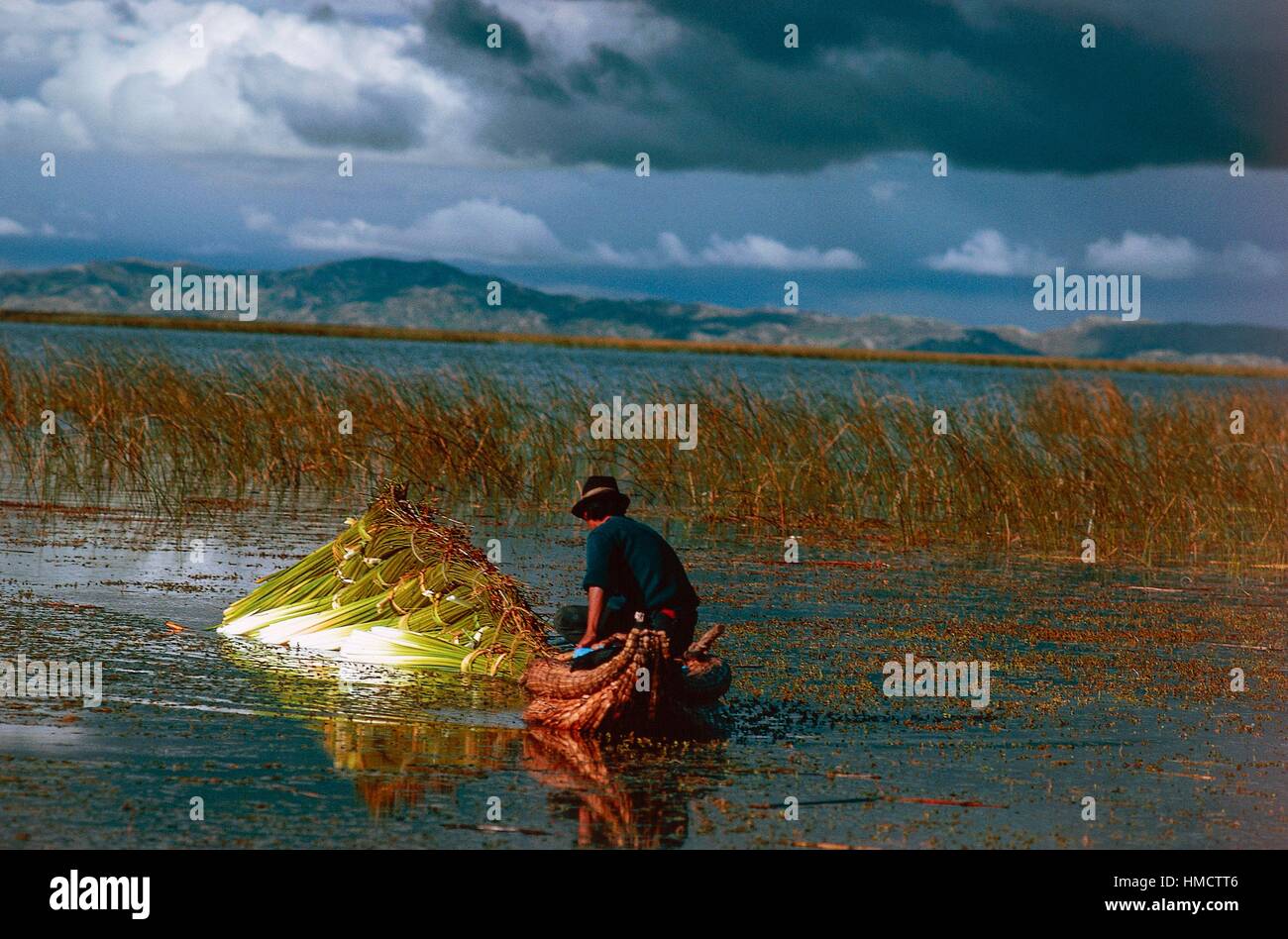 Fisherman in a balsa wood boat, Peru Stock Photo - Alamy