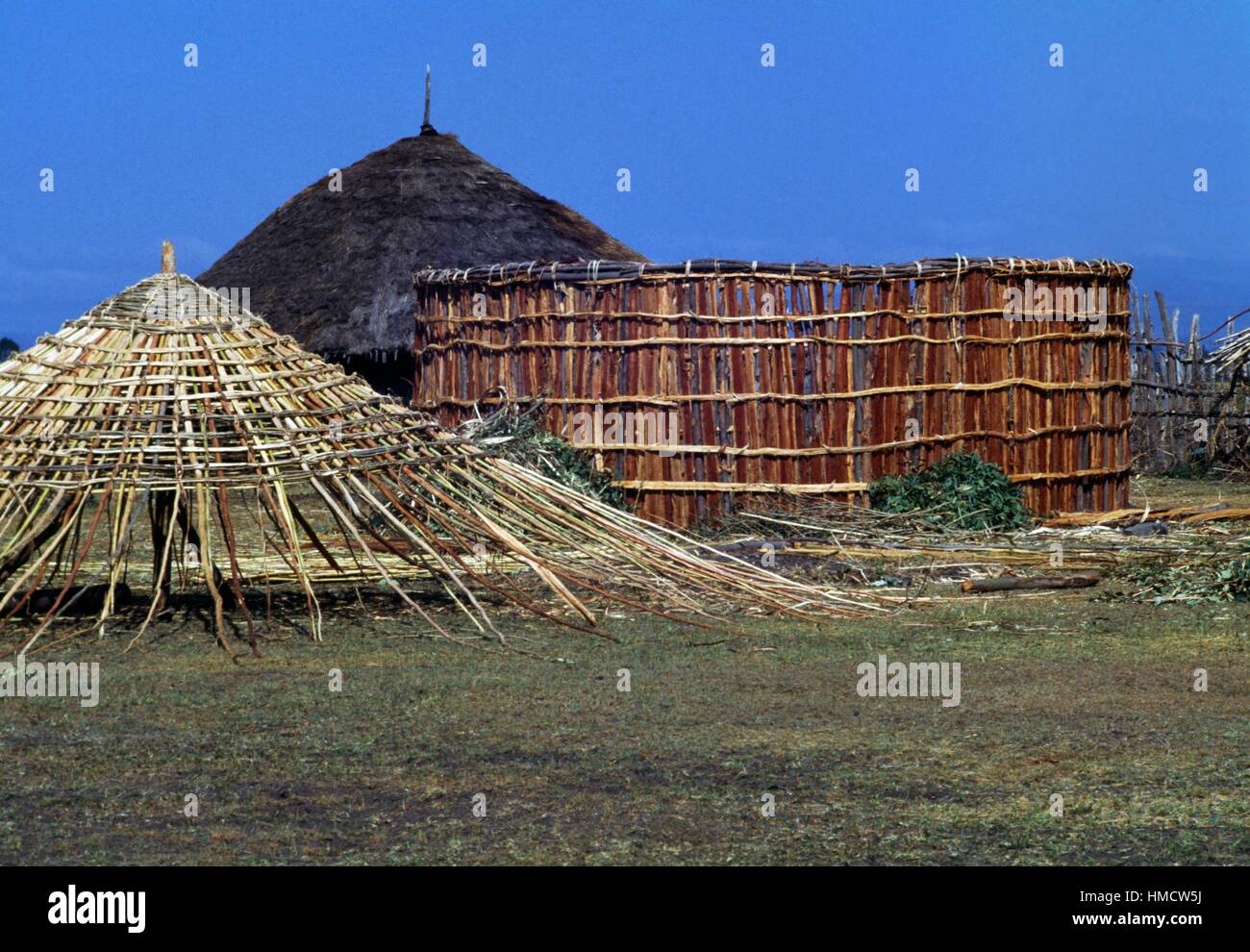 Guraghe huts under construction, Ethiopia Stock Photo - Alamy