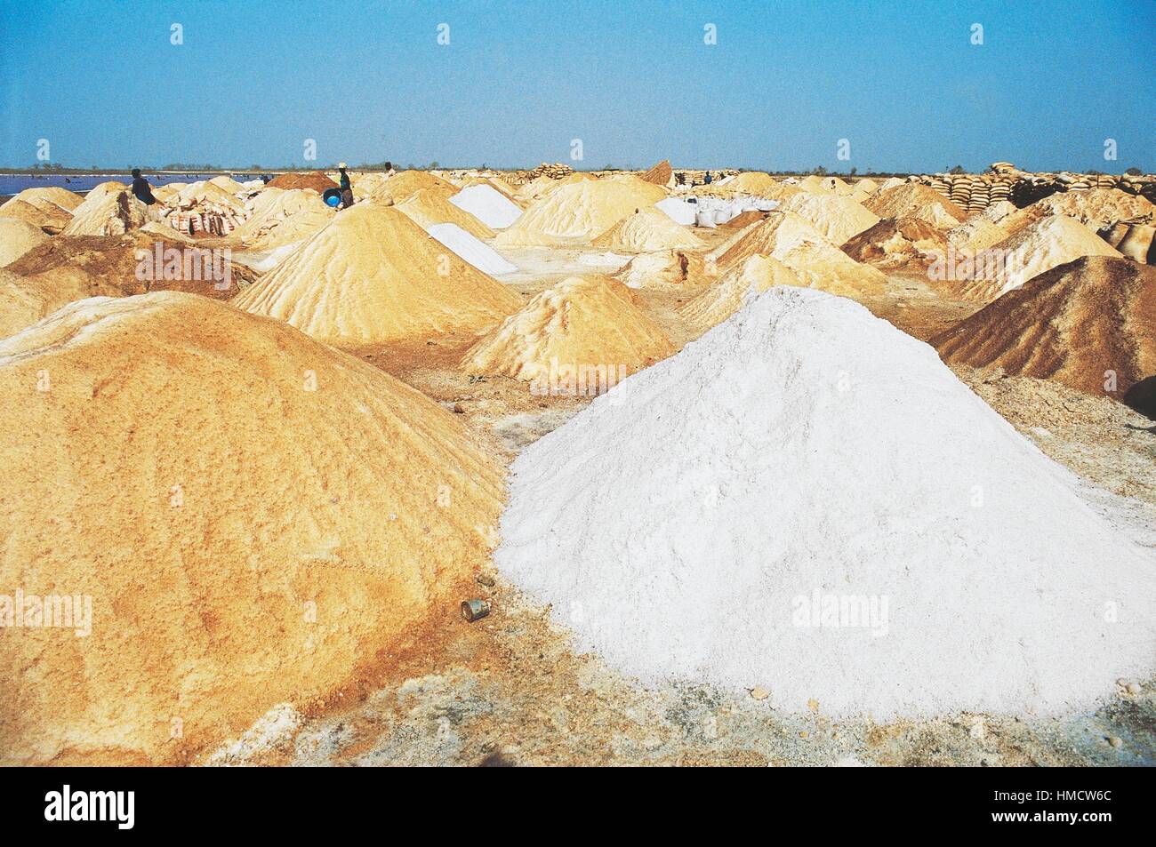 Salt marsh on the shores of Lake Retba, north of Dakar, Senegal Stock ...
