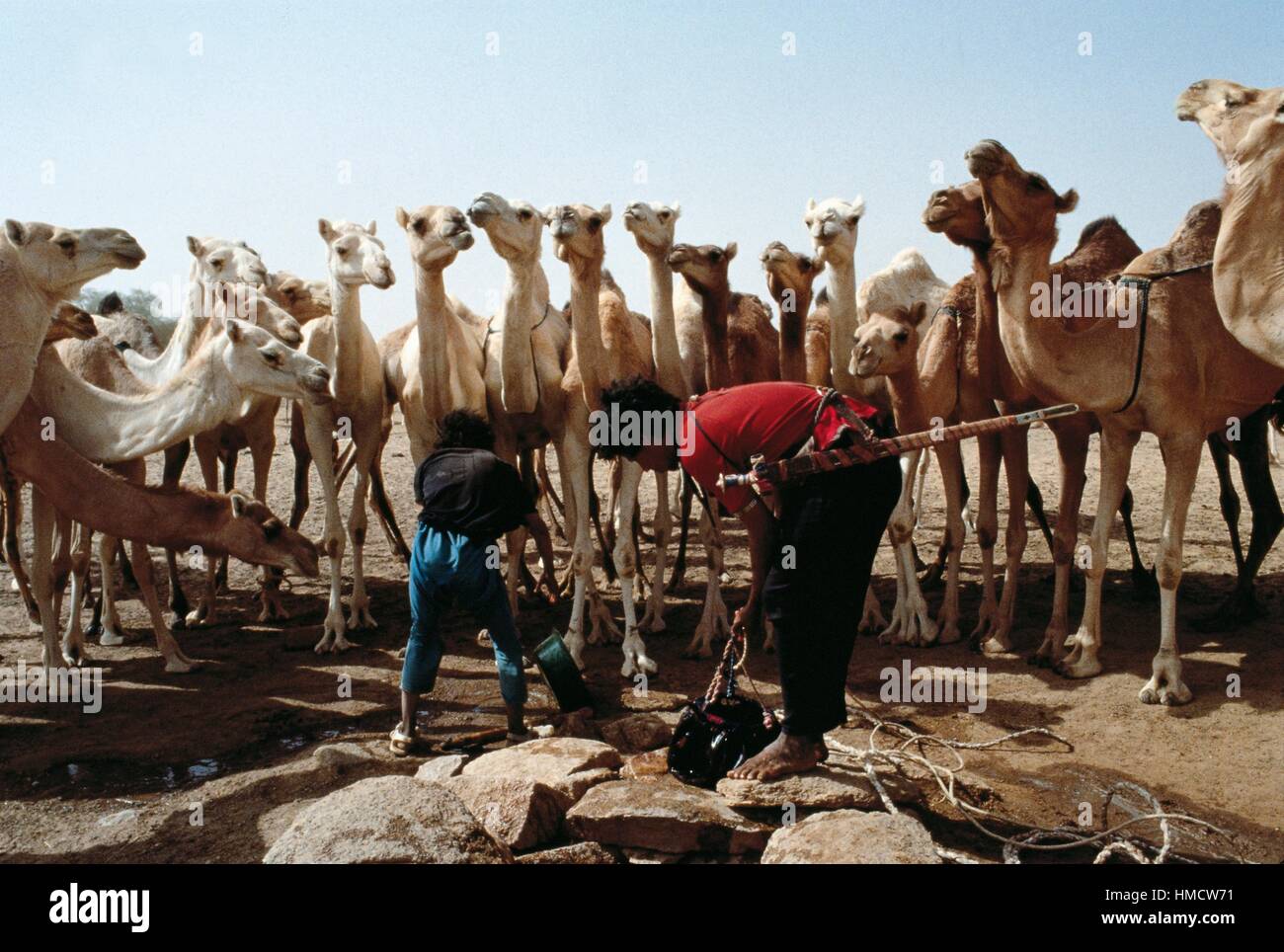 Water camel well hi-res stock photography and images - Alamy