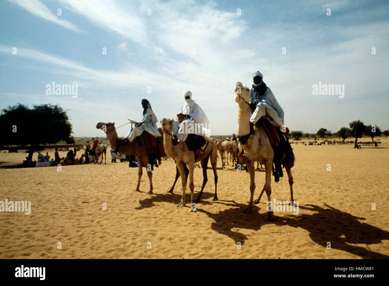 Camel drivers camels at markoye market hi-res stock photography and ... Camel drivers camels at markoye market hi-res stock photography and ...