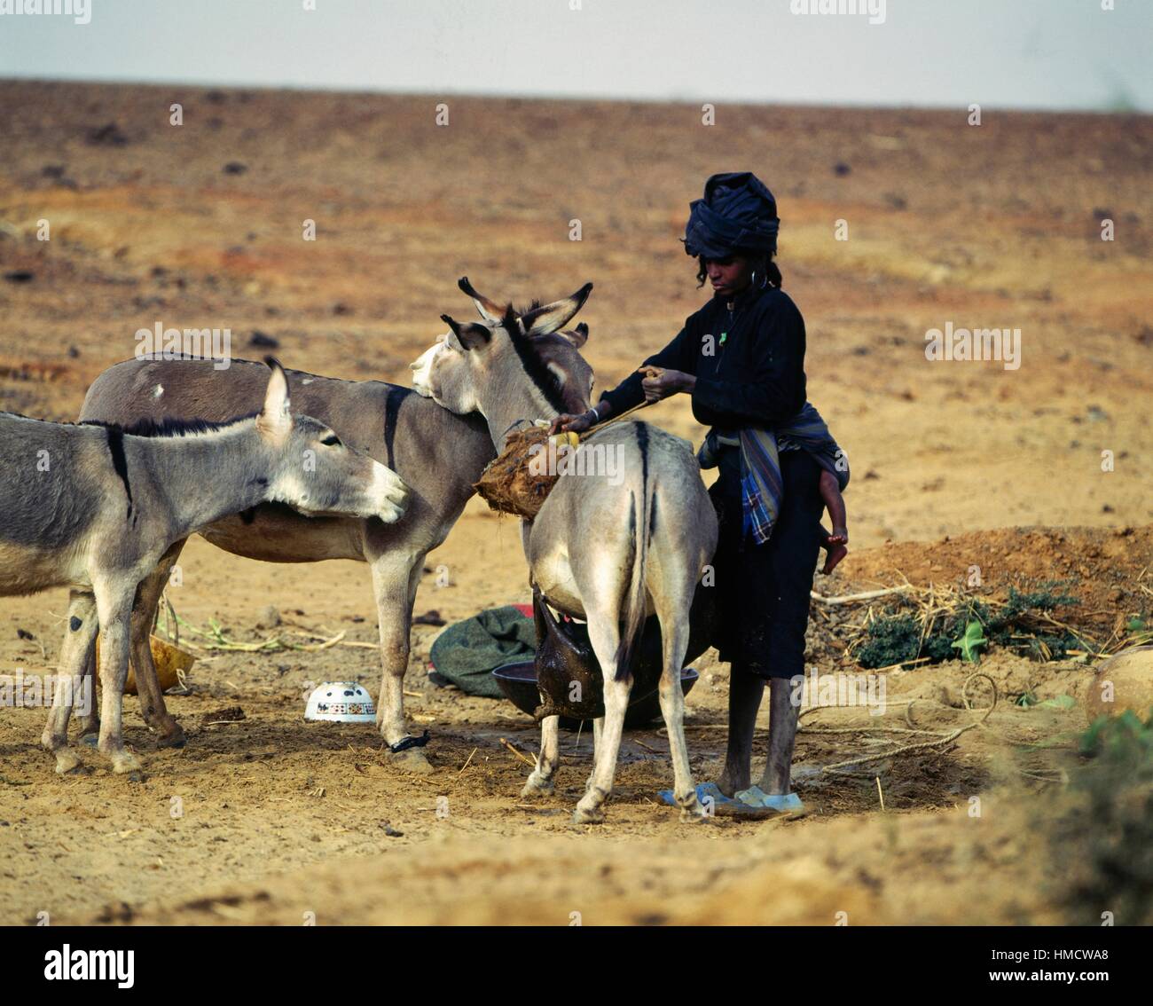 Bororo (Wodaabe) man with three donkeys near a well between Tanout and ...