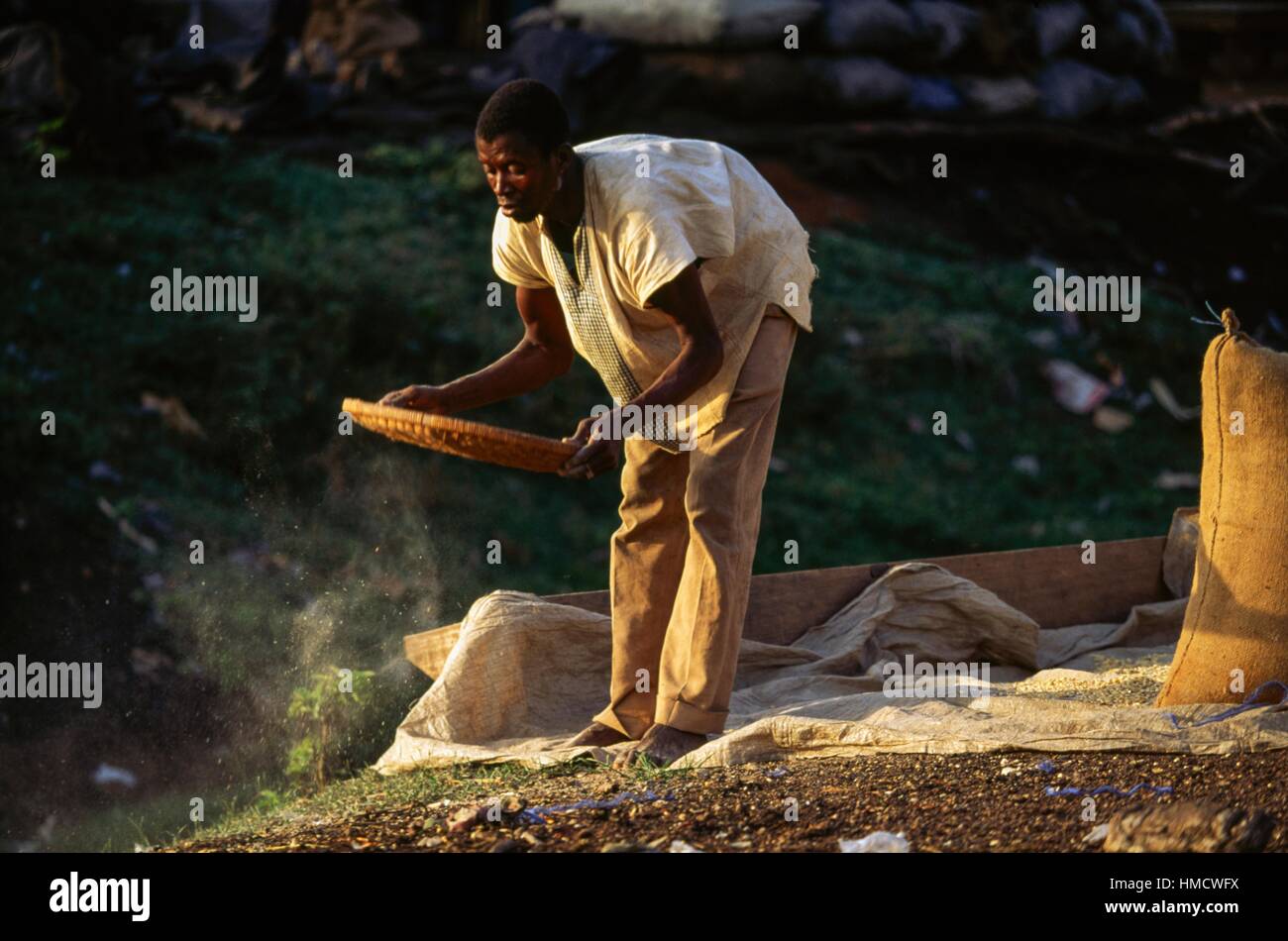 Husking Rice High Resolution Stock Photography and Images - Alamy