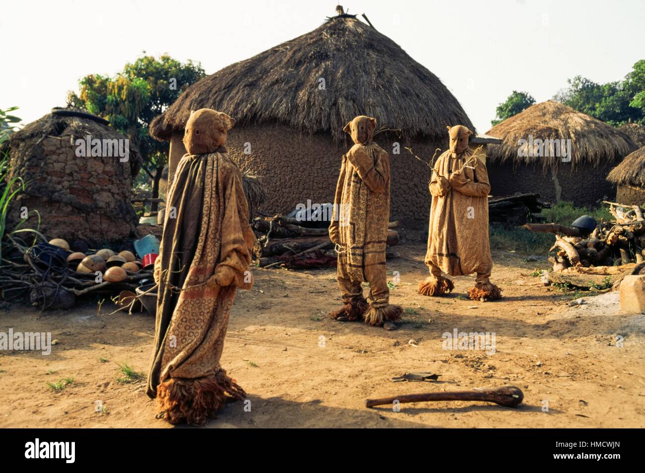 Men performing the panther dance, Senufo people, Ivory Coast Stock ...