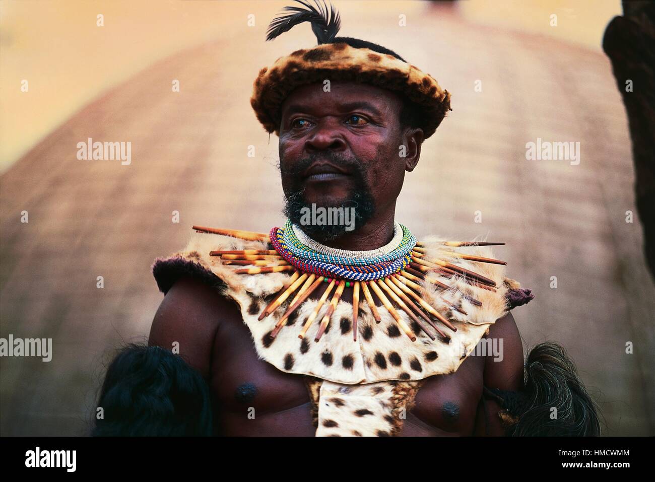 Leopard skins hi-res stock photography and images - Alamy