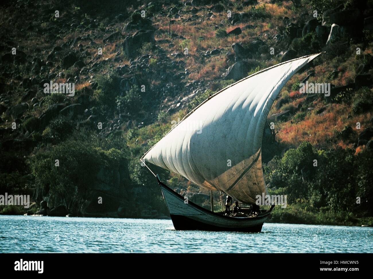 Dhow, traditional boat with lateen sails, sailing on Lake Victoria ...