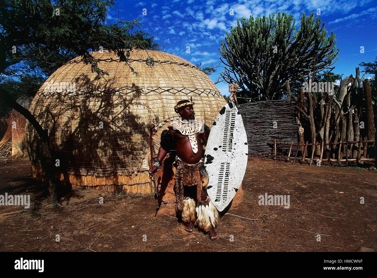 Zulu warrior in front of a indlu (typical domed Zulu dwelling ...