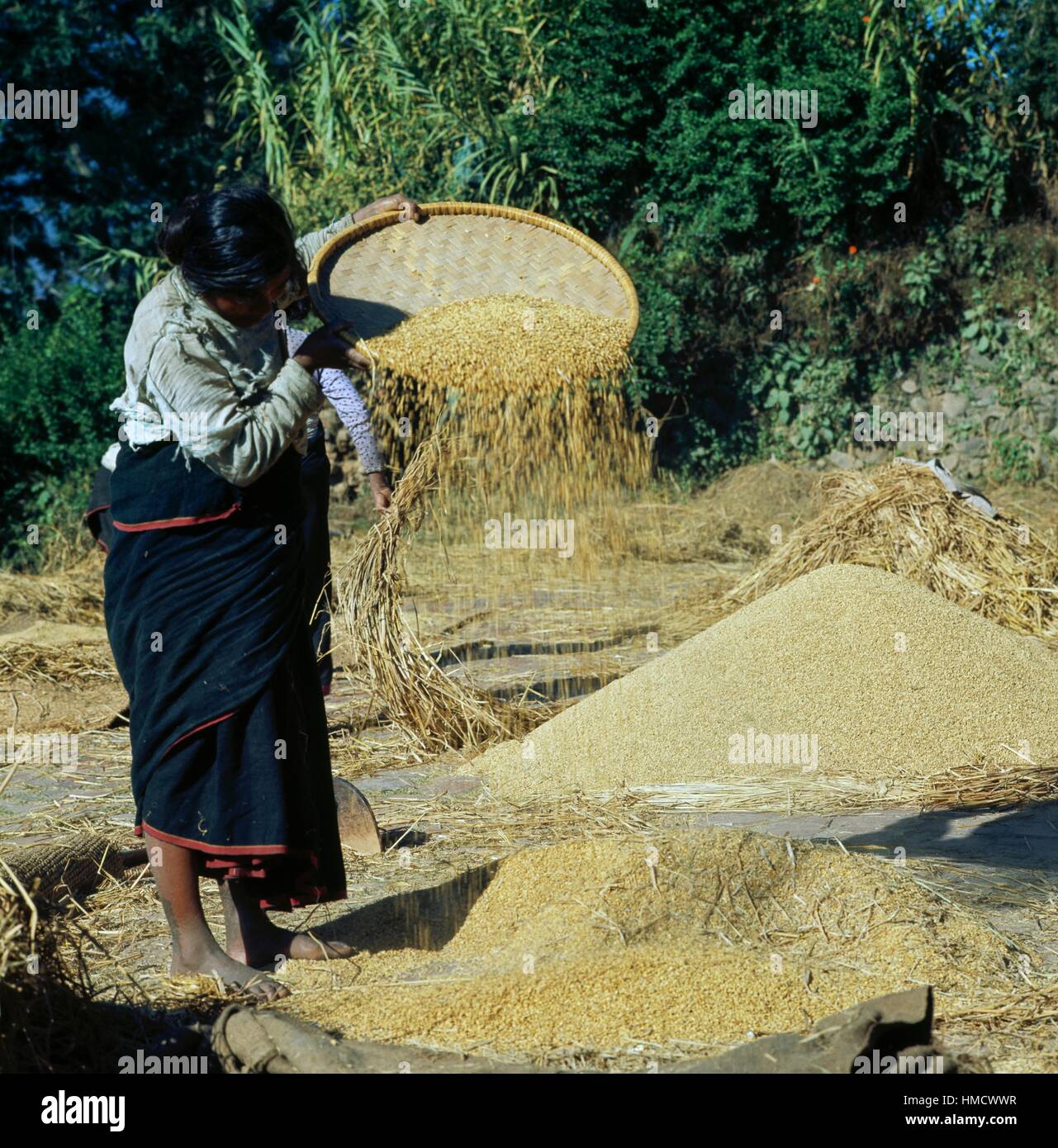 Woman husking rice, Nepal Stock Photo - Alamy