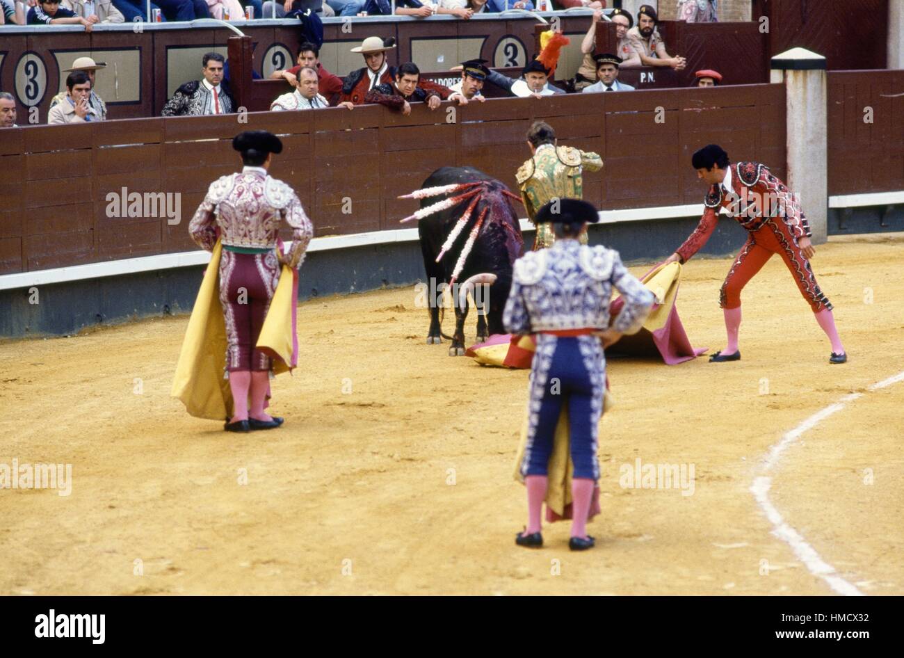 Bullfighter killing the bull, bullfighting scene, Madrid, Spain Stock ...