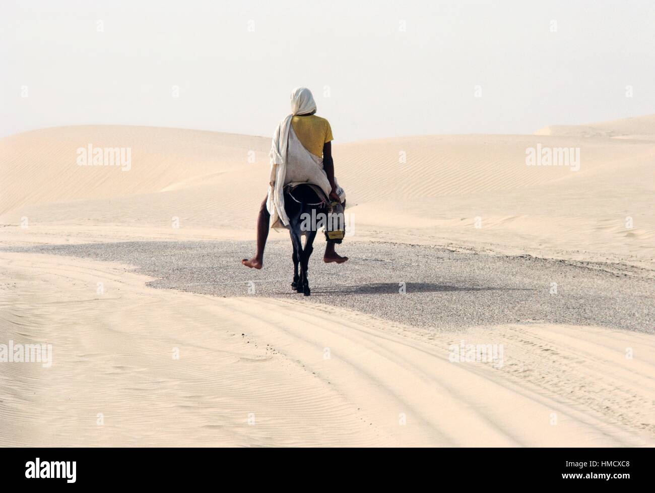 Man riding a mule hi-res stock photography and images - Alamy