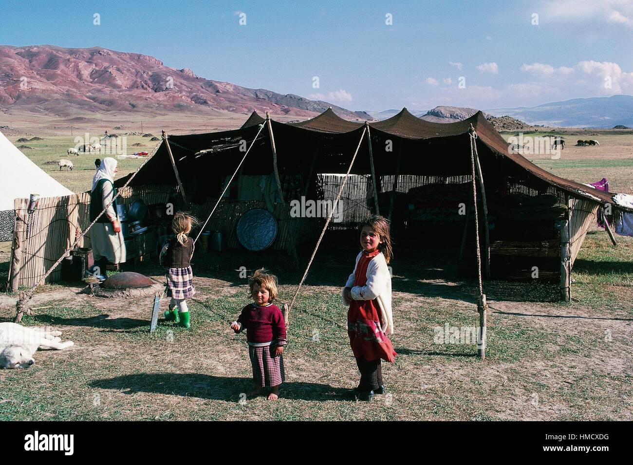 Kurdish nomadic children in front of a tent in their camp near ...